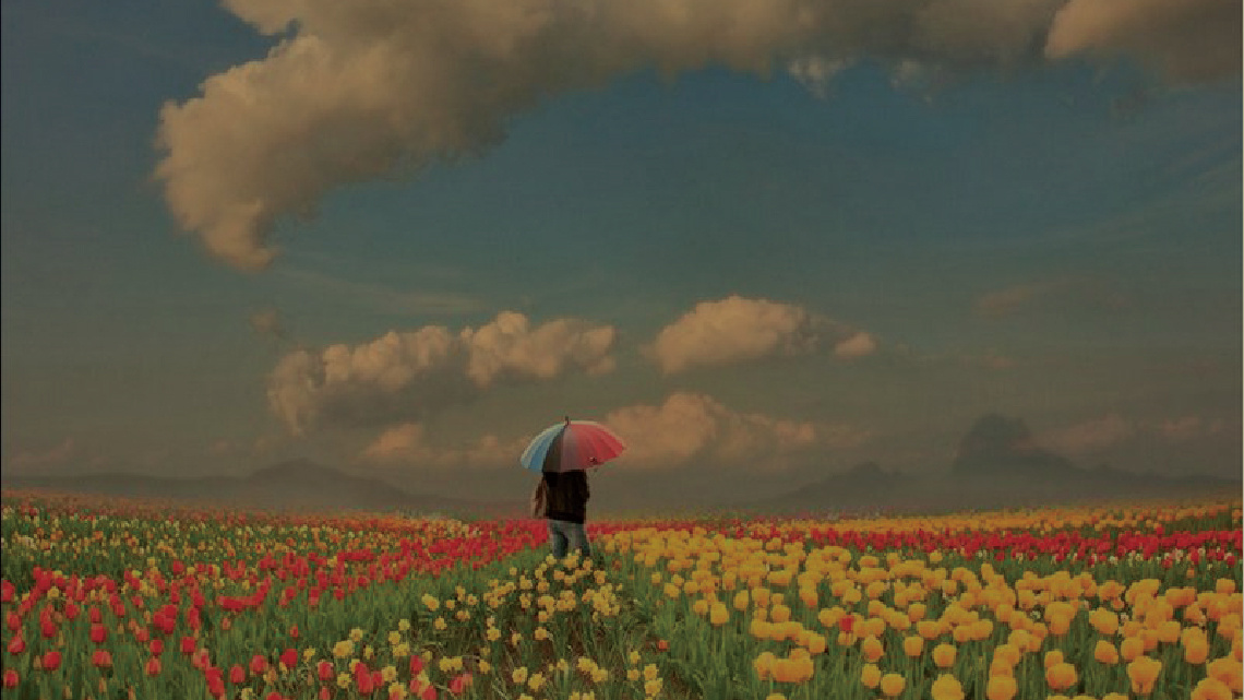 Season 2 - Episode 05: Designing for Stillness & Genius in Film, Video ...